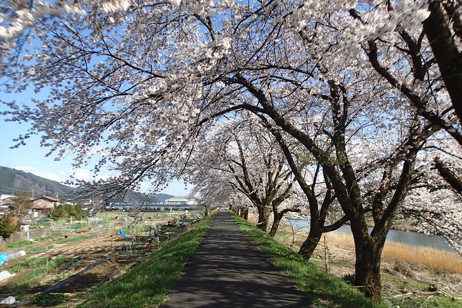 Short Morning Cycling Tour in Hida - Connecting With Local Residents