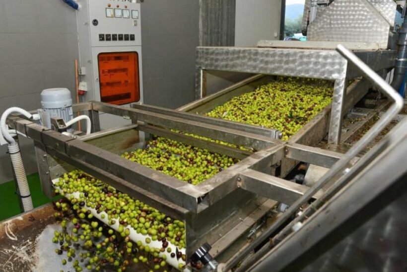 Short Tour of Olympia, an Olive Oil Press & St. Andrew Beach - The Practical Details