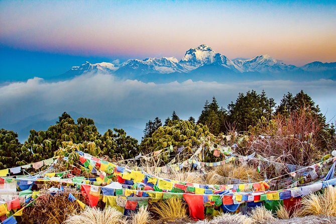 Shortest Poonhill trek from Kathmandu - An In-Depth Look at the Shortest Poonhill Trek Experience