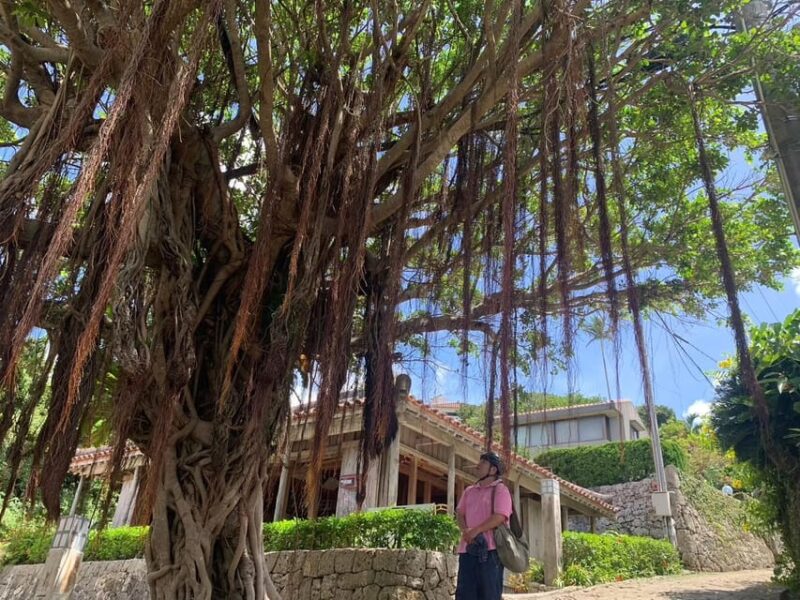 Shuri+Naha: Cycling Tour Explore Water Heritage With E-Bike - Booking Information