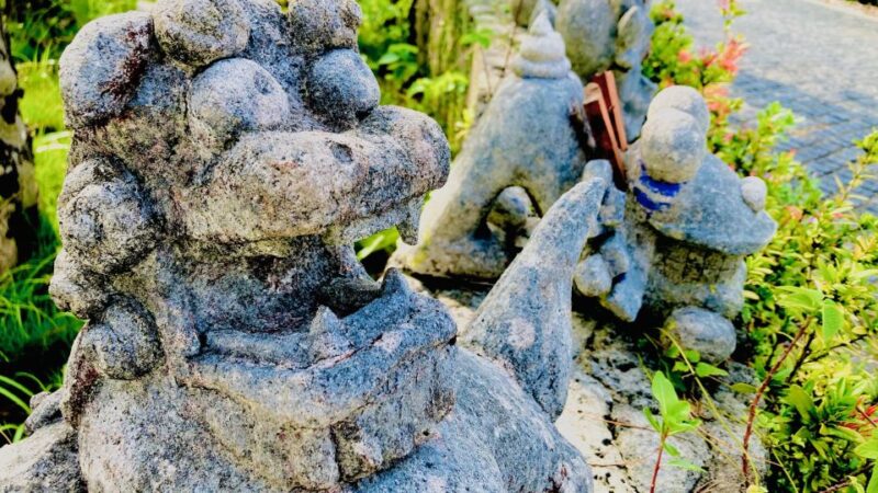 Shuri+Naha: Cycling Tour Explore Water Heritage With E-Bike - Important Information