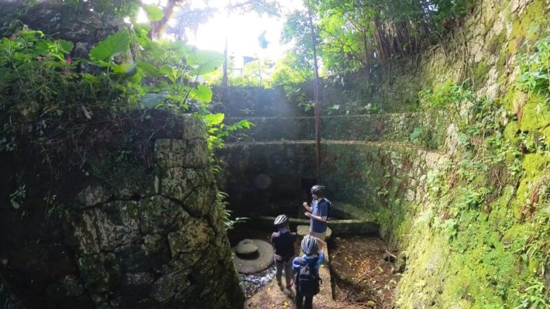 Shuri+Naha: Cycling Tour Explore Water Heritage With E-Bike - Experiencing the E-Bike Adventure