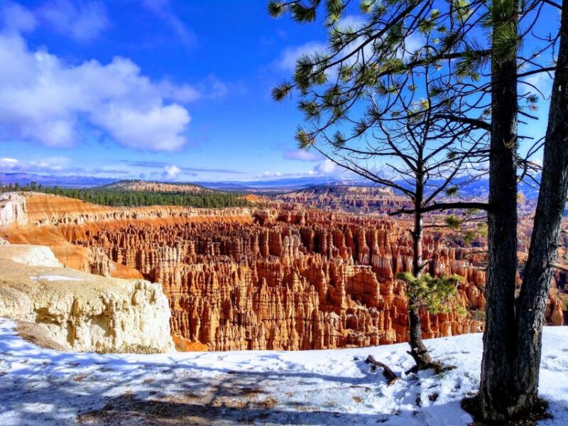 Shuttle between Las Vegas, Bryce, Zion and St George - Considering the Reviews