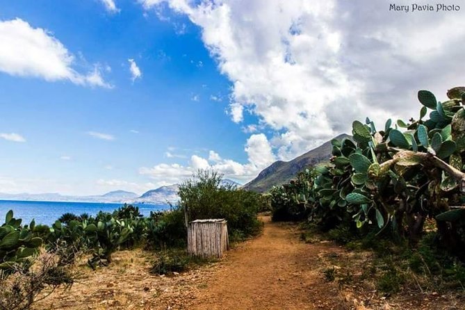 Shuttle Bus Riserva dello Zingaro - Final Thoughts