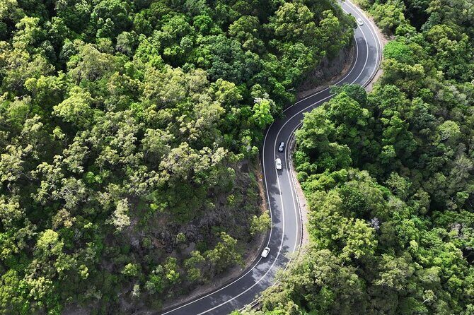 Shuttle Bus Transfer - Kuranda to Cairns City - Final Word