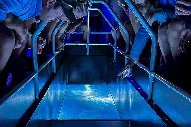 Shuttle from Airlie beach to Proserpine airport - Who Should Consider This Shuttle?