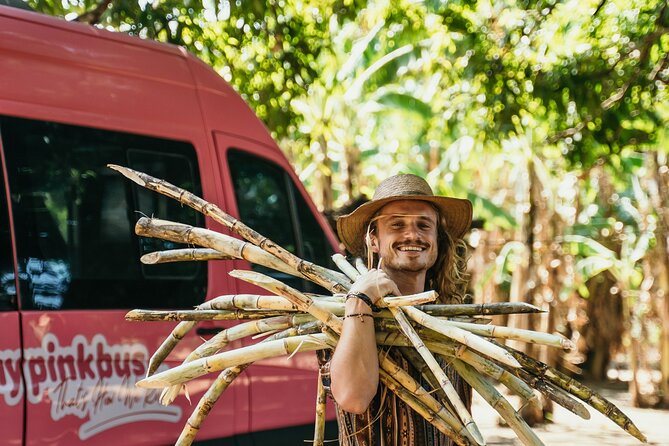 Shuttle From La Fortuna to San Jose - Accessibility and Transportation Connections