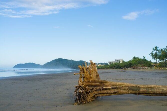 Shuttle From San Jose Airport To Jaco Beach or From Jaco Beach - Why Choose This Shuttle Service?