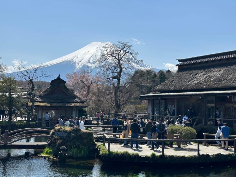 Shuttle Van Tour Mt.Fuji - Itinerary and Highlights