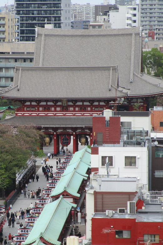 Shuttle Van Tour Tokyo for 4 Hours or 6 Hours - Driver and Communication