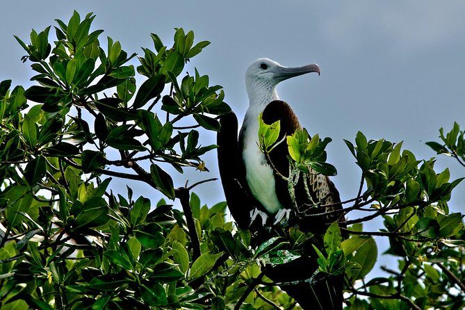 Sian Ka'an Adventure Full Day Trip to Punta Allen - FAQs