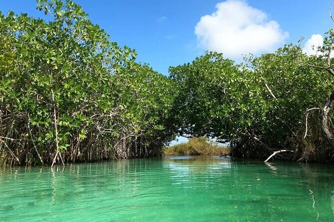 Sian Ka'an Biosphere Reserve Guided Tour - Exploring the Itinerary in Detail