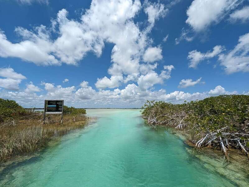 Sian Ka'an Channels and Underground River - Private Tour - A Deep Dive into the Experience