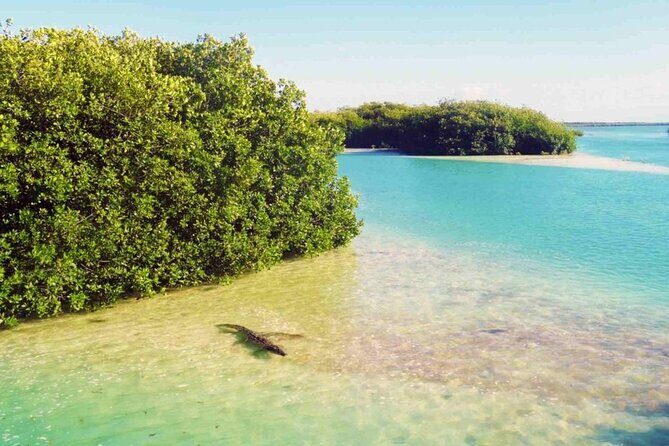 Sian Kaan Reserve Private Bike Tour - An In-Depth Look at the Sian Kaan Bike Tour