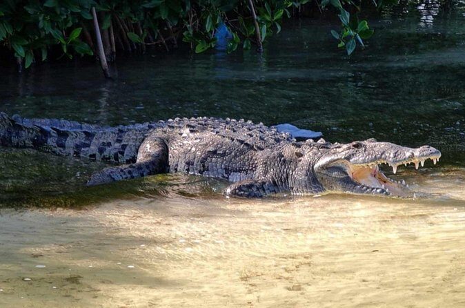 Sian Kaan Reserve Private Bike Tour - Final Thoughts: Is This Tour Worth It?
