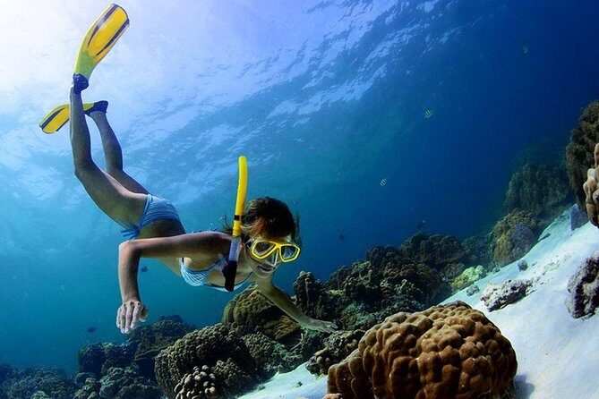 Sian Ka'an the green jewel, Biosphere Reserve Tour. Lunch & Snorkel included. - A Full-Day Dive into Nature at Sian Kaan