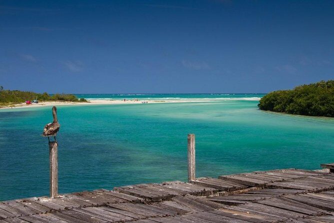 Sian Ka'an the green jewel, Biosphere Reserve Tour. Lunch & Snorkel included. - Who Should Consider This Tour?