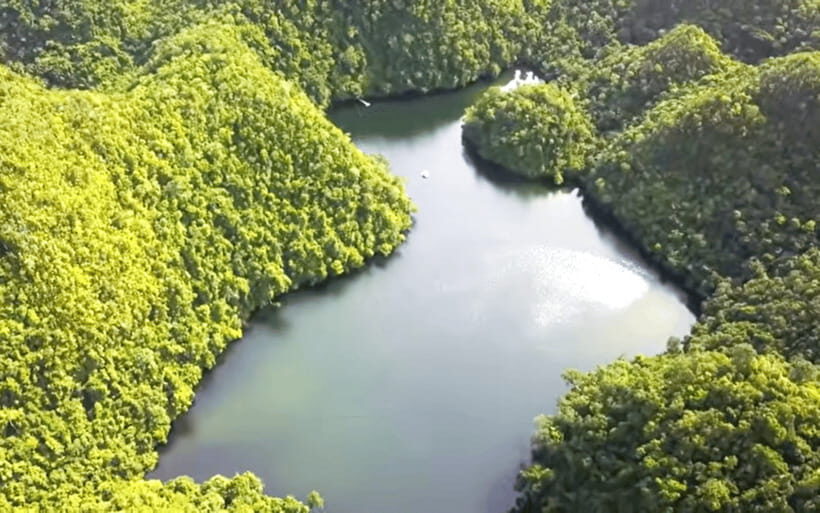 Siargao Escape(Tour L) : Private Island-Hopping Adventure - The Hidden Treasure: Poneas Lake