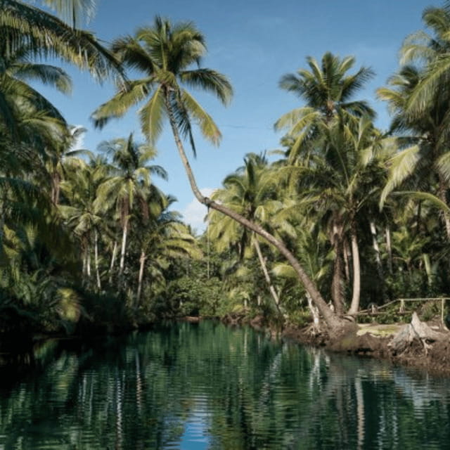 Siargao: Land Tour with Lunch and Sugba Lagoon - Discovering Siargao’s Beauty and Culture
