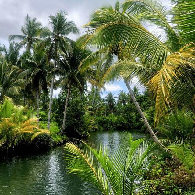 Siargao: Land Tour with Lunch and Sugba Lagoon - Detailed Breakdown of the Itinerary