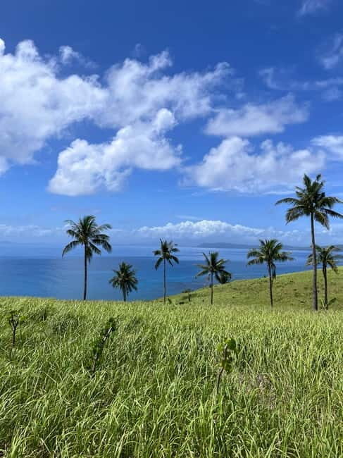 Siargao: Private Corregidor Island Tour - Who Will Love This Experience?