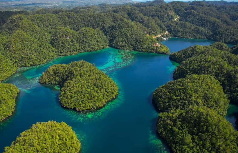 Siargao: Sohoton and Non-Sting Jellyfish Sanctuary Tour - Key Points