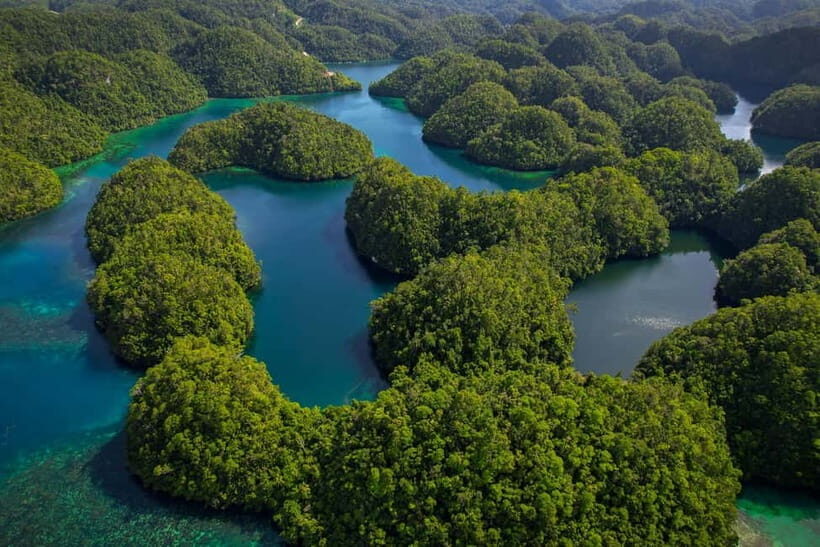 Siargao: Sohoton and Non-Sting Jellyfish Sanctuary Tour - The Itinerary Breakdown: What You Can Expect