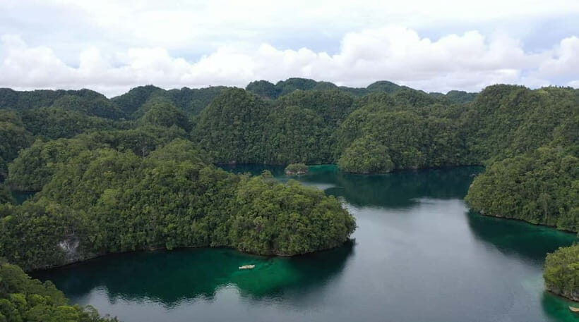 Siargao: Sohoton and Non-Sting Jellyfish Sanctuary Tour - What You Should Know Before Booking