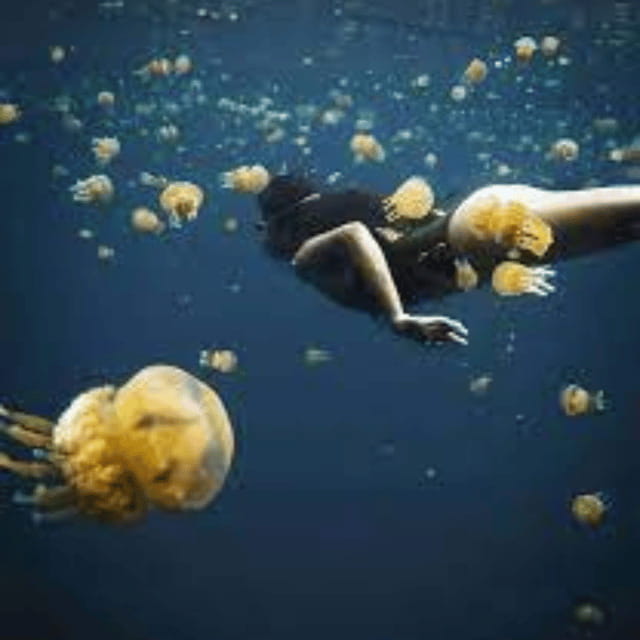 Siargao:Sohoton Island Hopping Tour with Jellyfish Sanctuary - Final Words