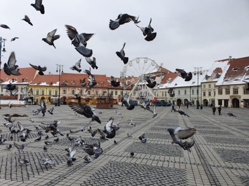 Sibiu City Tour - Private Day Trip from Bucharest - Practical Tips for Travelers