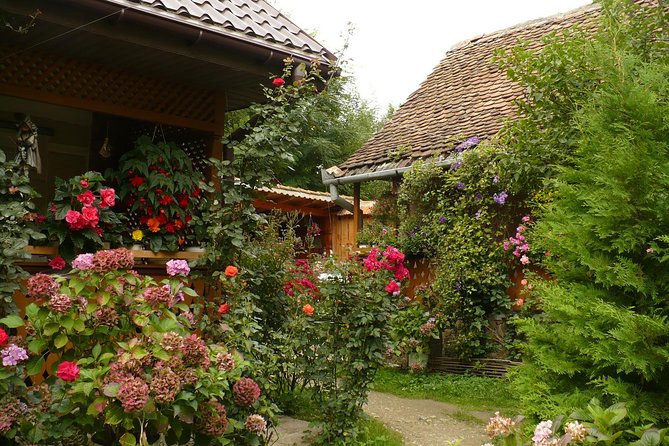 Sibiu Day Trip From Brasov - Tour Inclusions