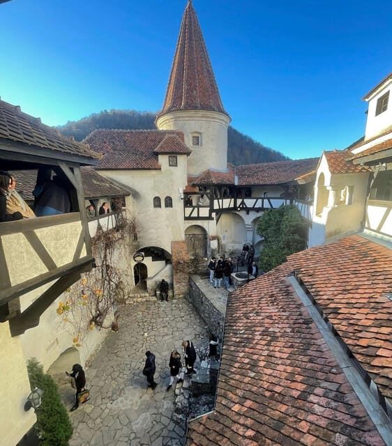 Sibiu: Dracula's Castle and Dino Park Day Trip - A Practical Guide to the Sibiu: Dracula’s Castle and Dino Park Day Trip