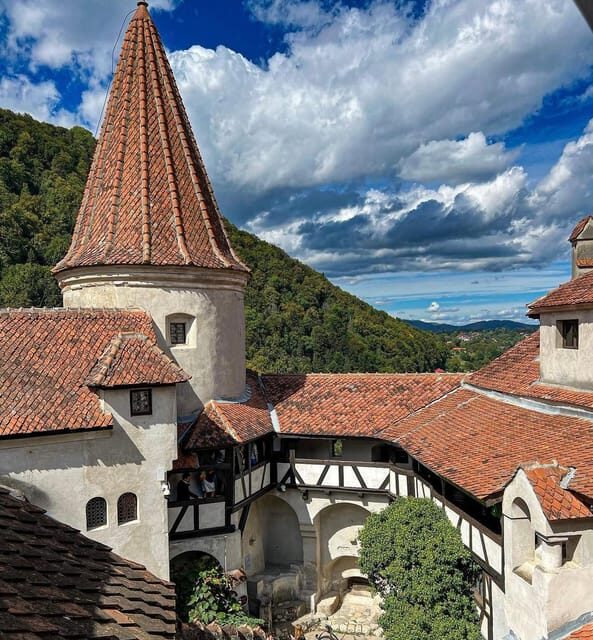 Sibiu: Dracula's Castle and Dino Park Day Trip - Key Points