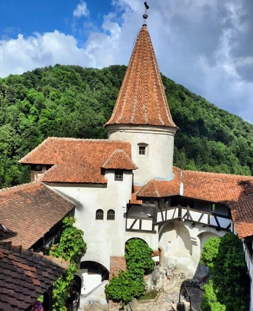 Sibiu: Dracula's Castle and Dino Park Day Trip - FAQs