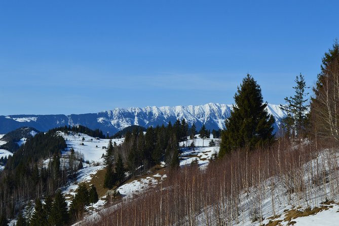 Sibiu to Bucharest - Private Guided Transfer - Car and Driver - Detailed Breakdown of the Journey