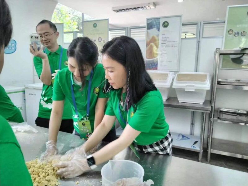 Sichuan: Big Panda Volunteer Day tour - The Itinerary: Step-by-Step