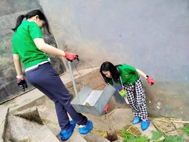 Sichuan: Big Panda Volunteer Day tour - Who Is This Tour Best For?