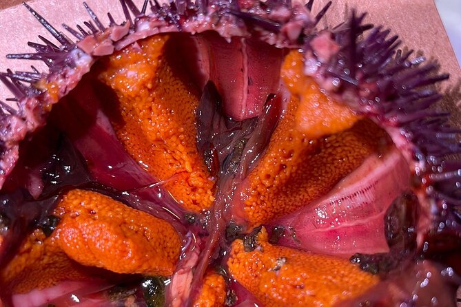 Sicilian food - Who Should Consider This Tour?