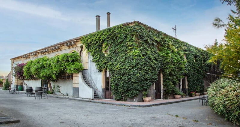 Sicilian Soul: Winery Tour, Wine & Food Tasting in Catania - What to Expect During the Tour