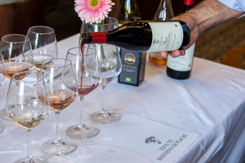 Sicilian Soul: Winery Tour, Wine & Food Tasting in Catania - The Sum Up