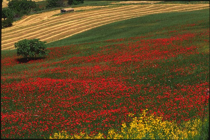 Sicilian Villages & Ricotta Tasting - including Lunch from Cefalu - Final Thoughts: Who Will Enjoy This Tour?