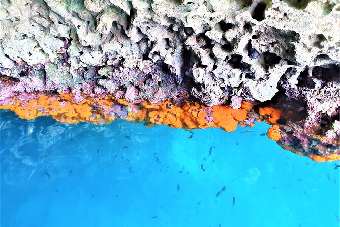 Sicilian Wine Tasting on the Boat in Taormina - Highlights of the Sicilian Wine Tasting