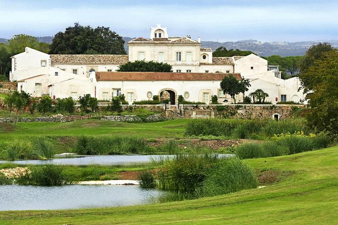 Sicily Baroque Grand Tour (Private) - Day 5: Catania’s Baroque Heart