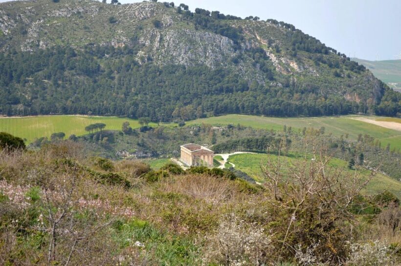Sicily: Segesta Ticket, Shuttle Service & City Audio Tour - Who Should Consider This Tour?