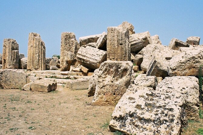 Sicily: Selinunte Park Entry Ticket & Sicily Digital Audio Guide - Unpacking the Cost and Value