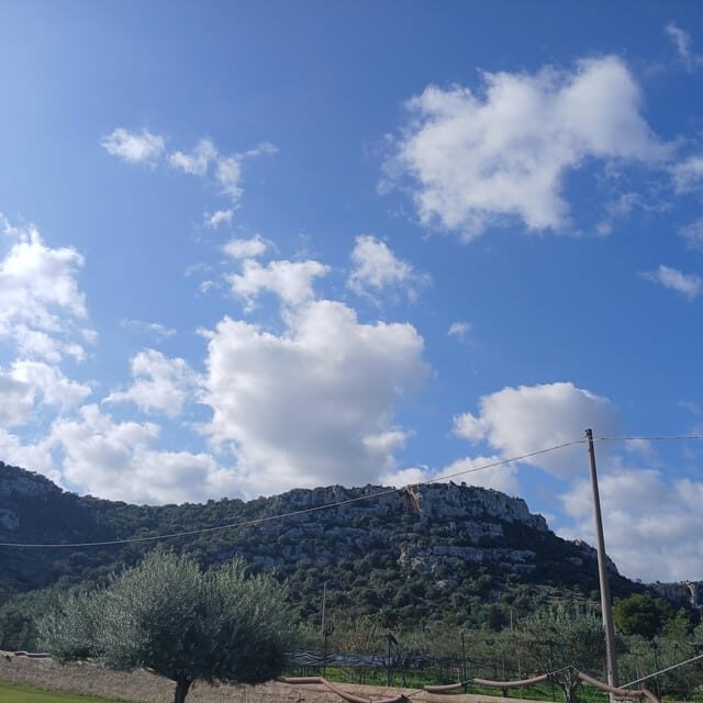 Sicily tour - An In-Depth Look at the Sicily Tour