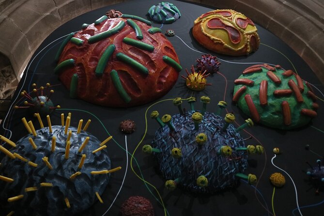 Sick To Death Admission Ticket Review - Visitor Experiences