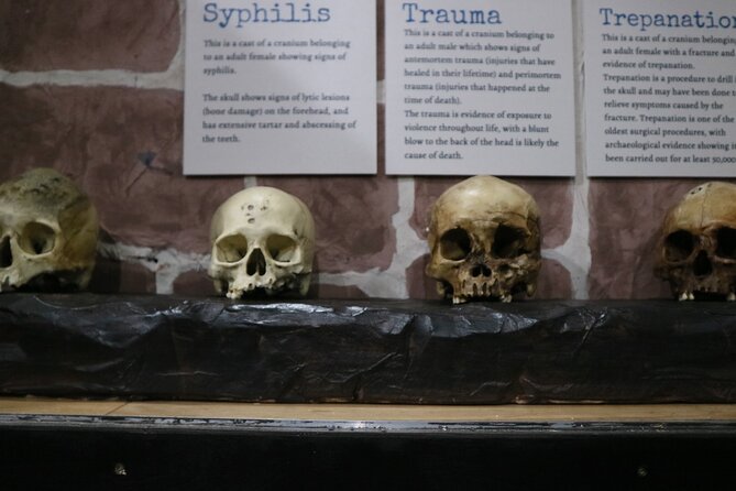 Sick To Death Admission Ticket Review - Educational Content