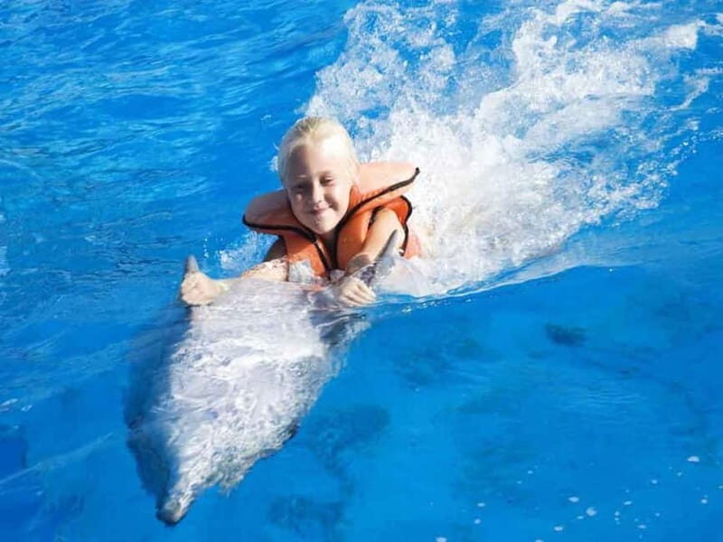 Side/Alanya: Swimming with Dolphins and Dolphin Show - The Experience: Pros and Cons Based on Real Feedback
