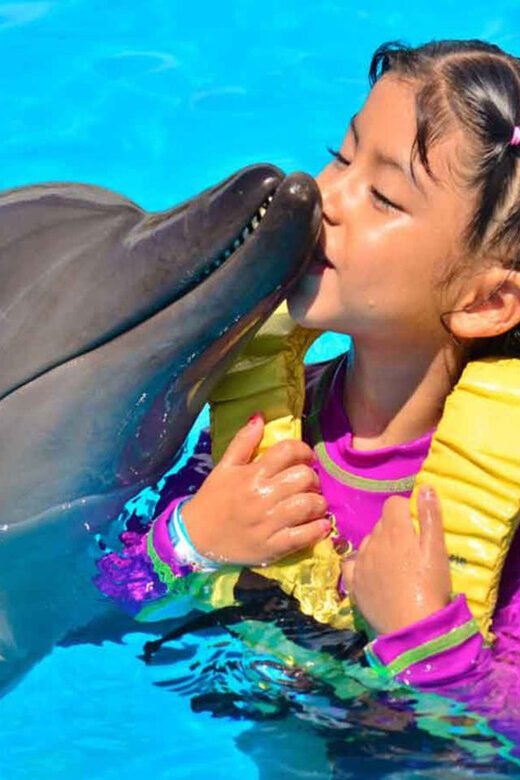 Side/Alanya: Swimming with Dolphins and Dolphin Show - Final Thoughts: Is It Worth It?